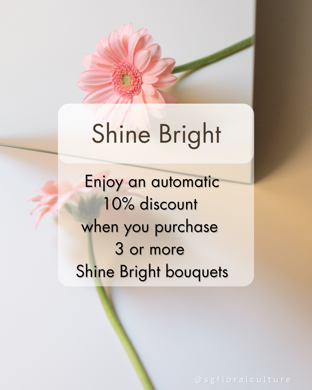 What Does the Number of Roses Mean? A Guide to Rose Bouquet Numbers ...